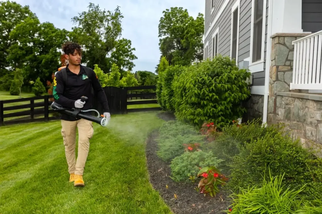 Outdoor Tick Prevention Tips: How to Keep Your Yard in Frisco, TX, Free ...